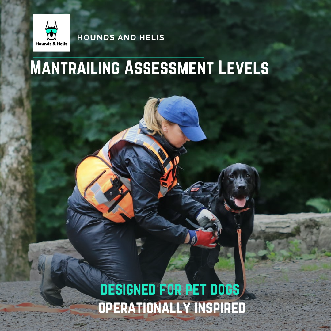 Mantrailing Assessment -Entry Level – Hounds and Heli's