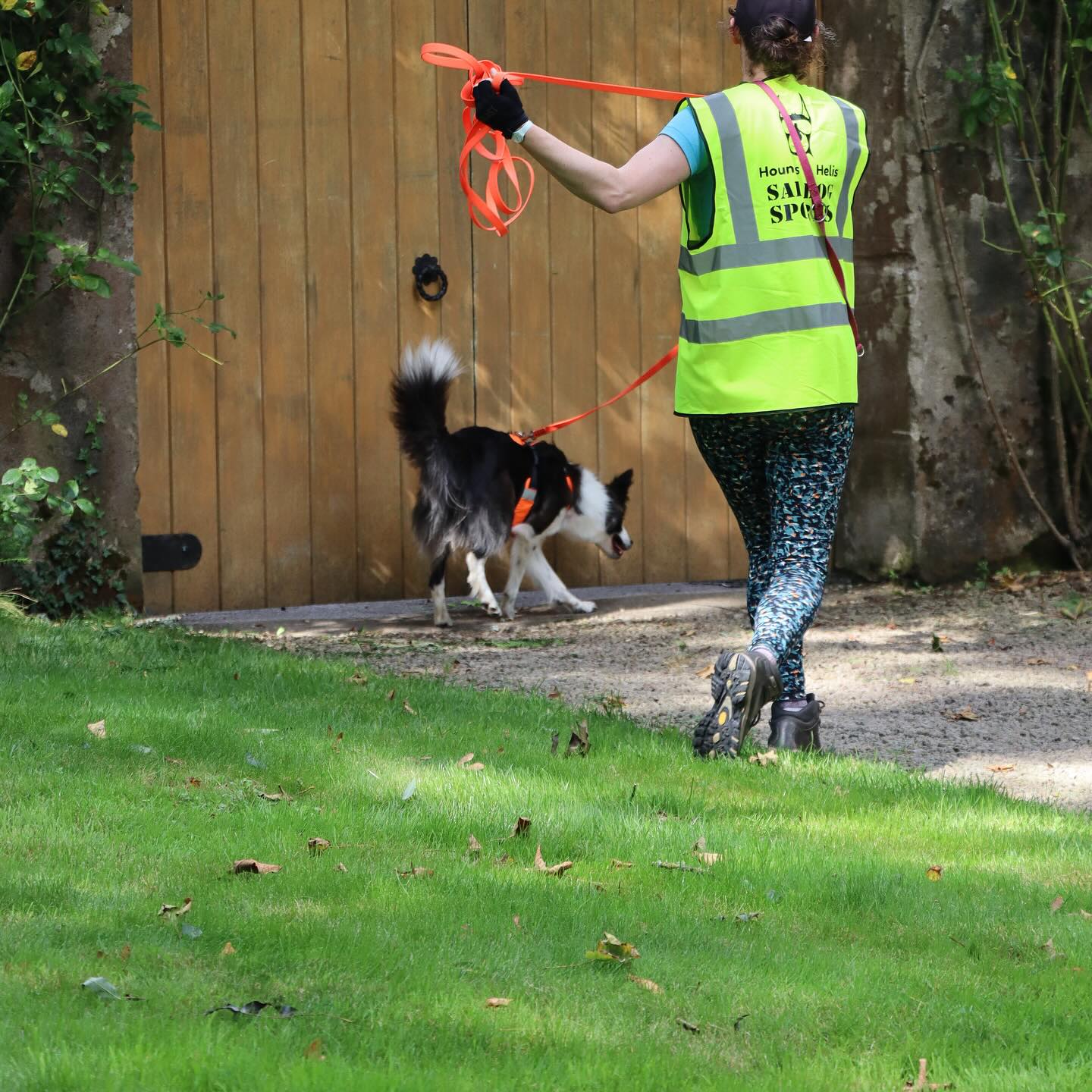 Mantrailing for Pet Dogs – Hounds and Heli's